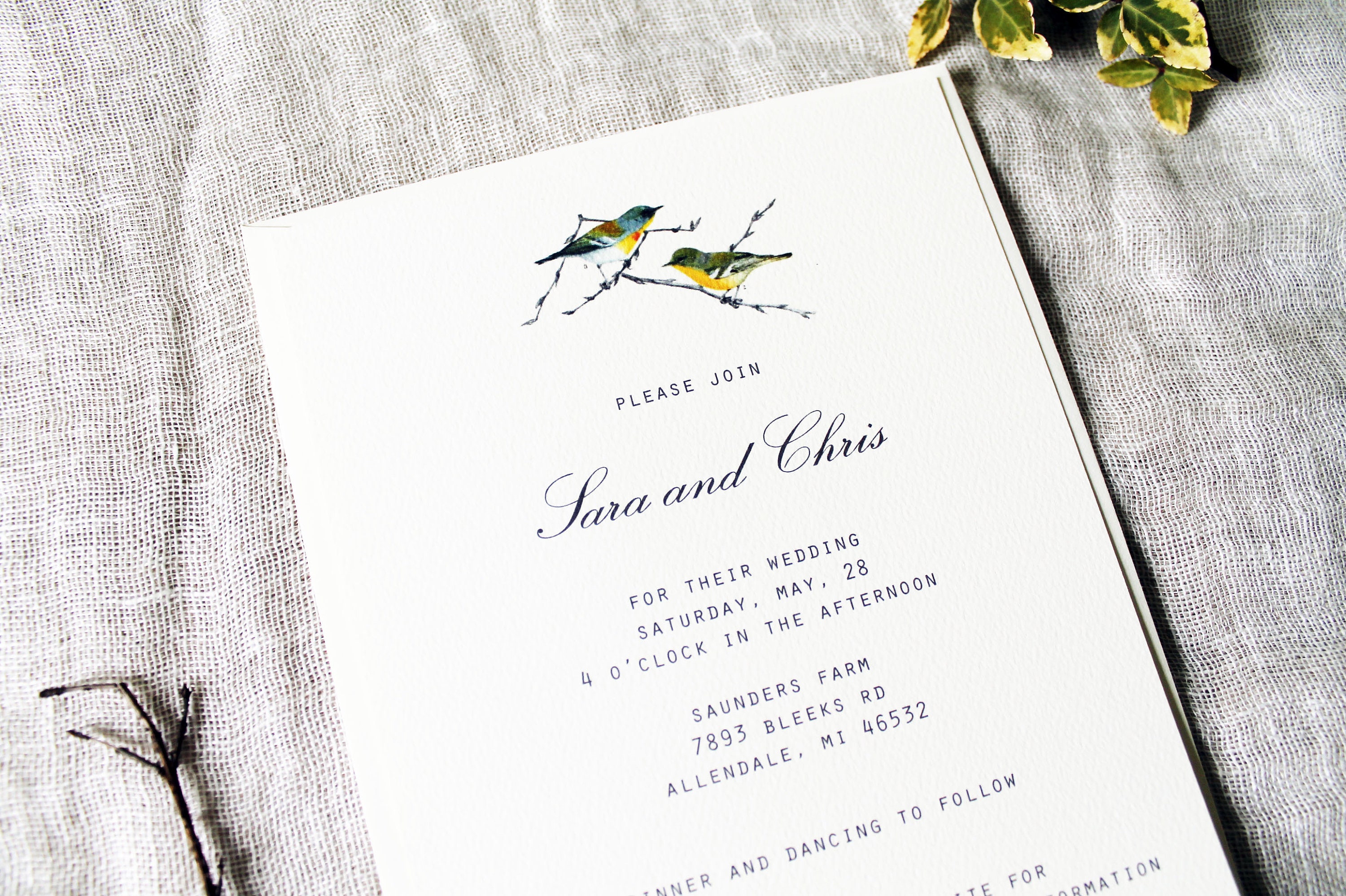Bird Wedding Invitation Template Bird Wedding Suite Editable | Etsy