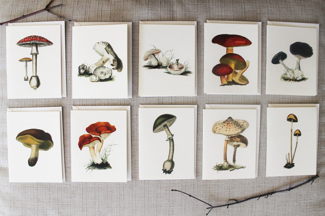 Mushroom Greeting Cards Set of 10 Blank Folded Cards - Etsy
