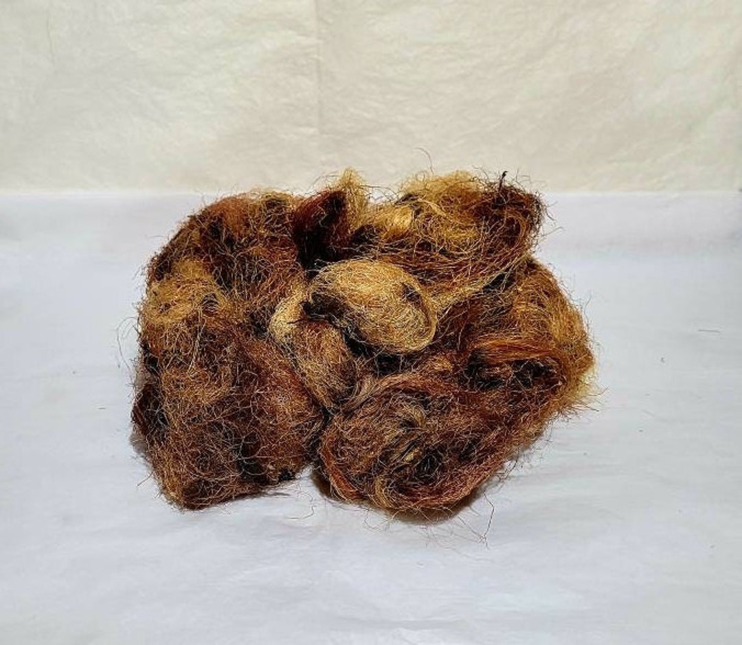 Dried Corn Silk for Crafts - Etsy
