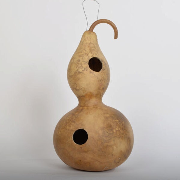 Dried Gourds - Etsy