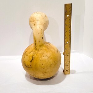 Large Goose Gourd, Natural Swan Gourd - Etsy
