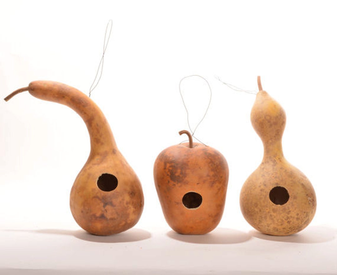 Drilled Birdhouse Gourds: Natural Dipper, Apple, Bottle Gourd Set - Etsy