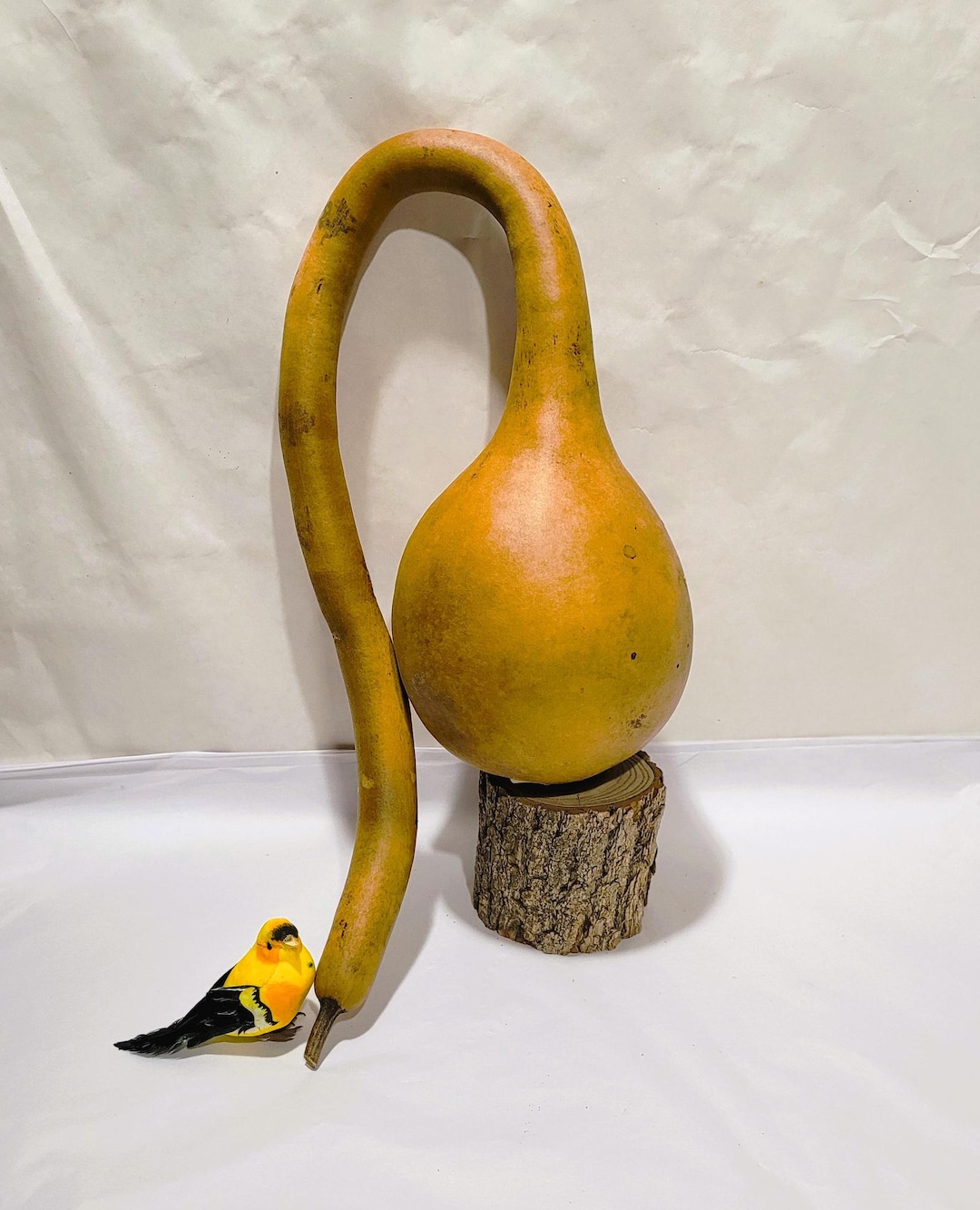 Large Long Handled Dipper, Natural Gourd - Etsy