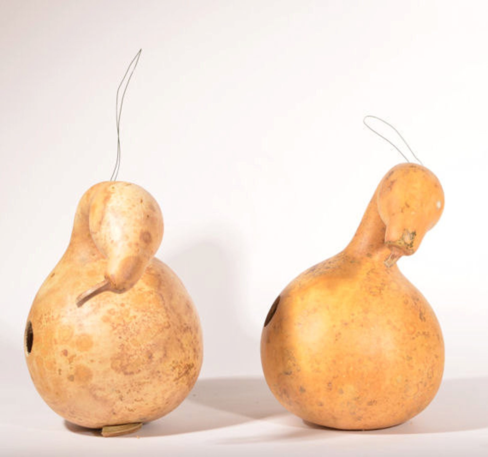 Goose Gourds, Swan Gourds, Two (2) Natural Gourds, Ready to Paint ...