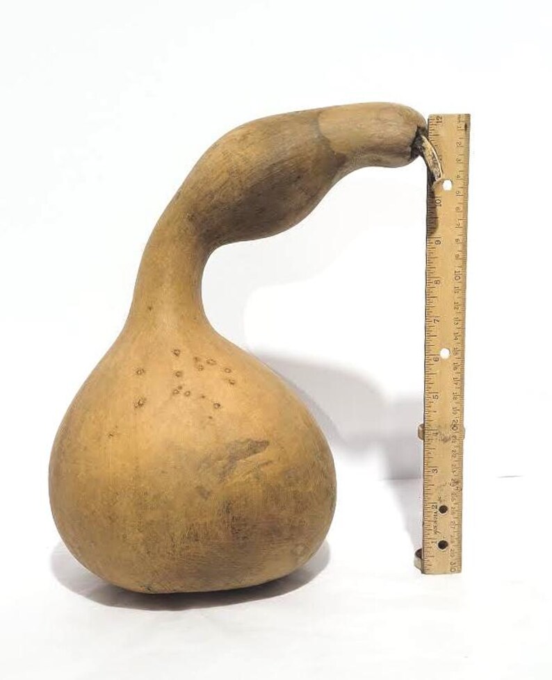 Large Goose Gourd, Natural Swan Gourd - Etsy