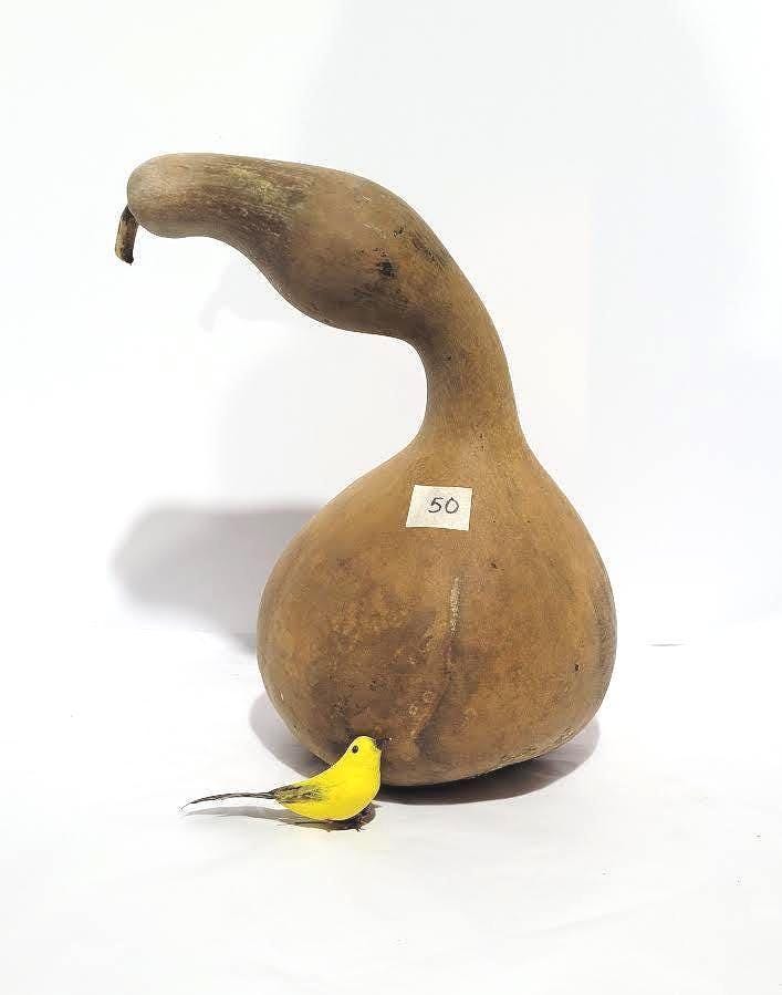 Large Goose Gourd, Natural Swan Gourd - Etsy
