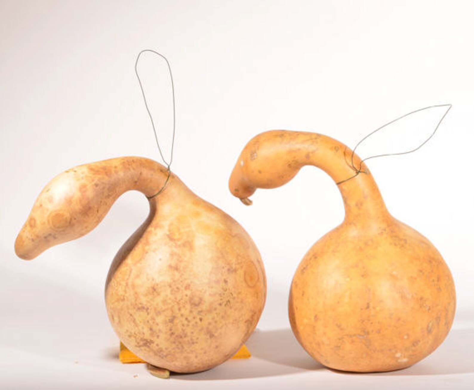 Goose Gourds, Swan Gourds, Two (2) Natural Gourds, Ready to Paint ...
