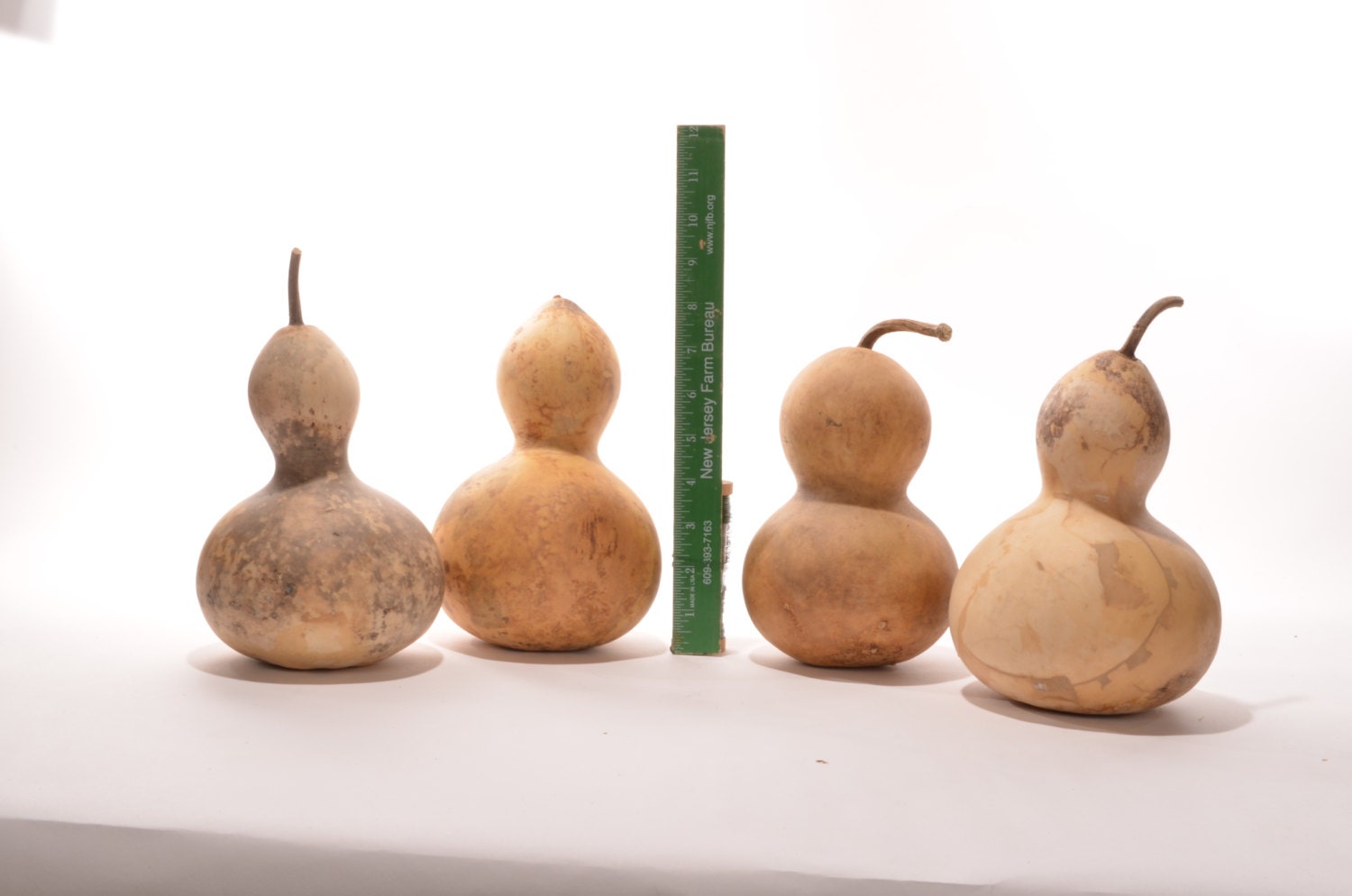 Four 4 Small Bottle Gourds Natural Gourds Dried Gourds - Etsy