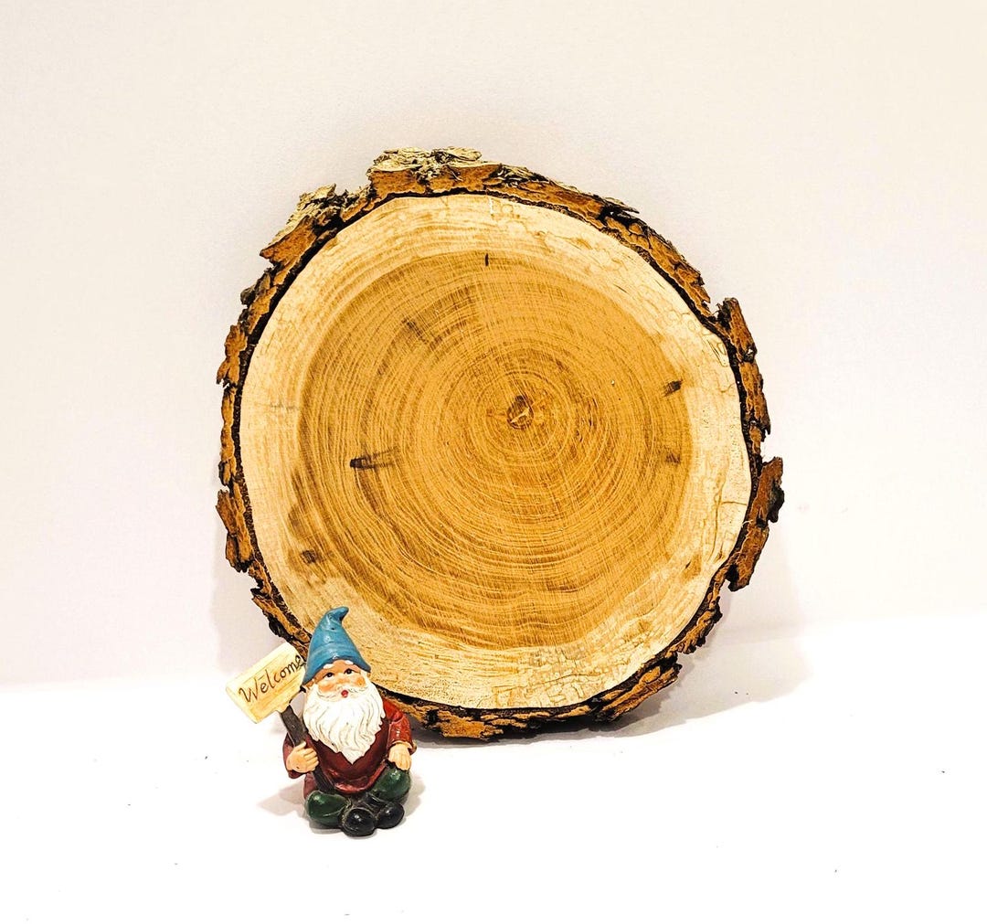 Cherry Log Slice, Rustic Wood Slice - Etsy