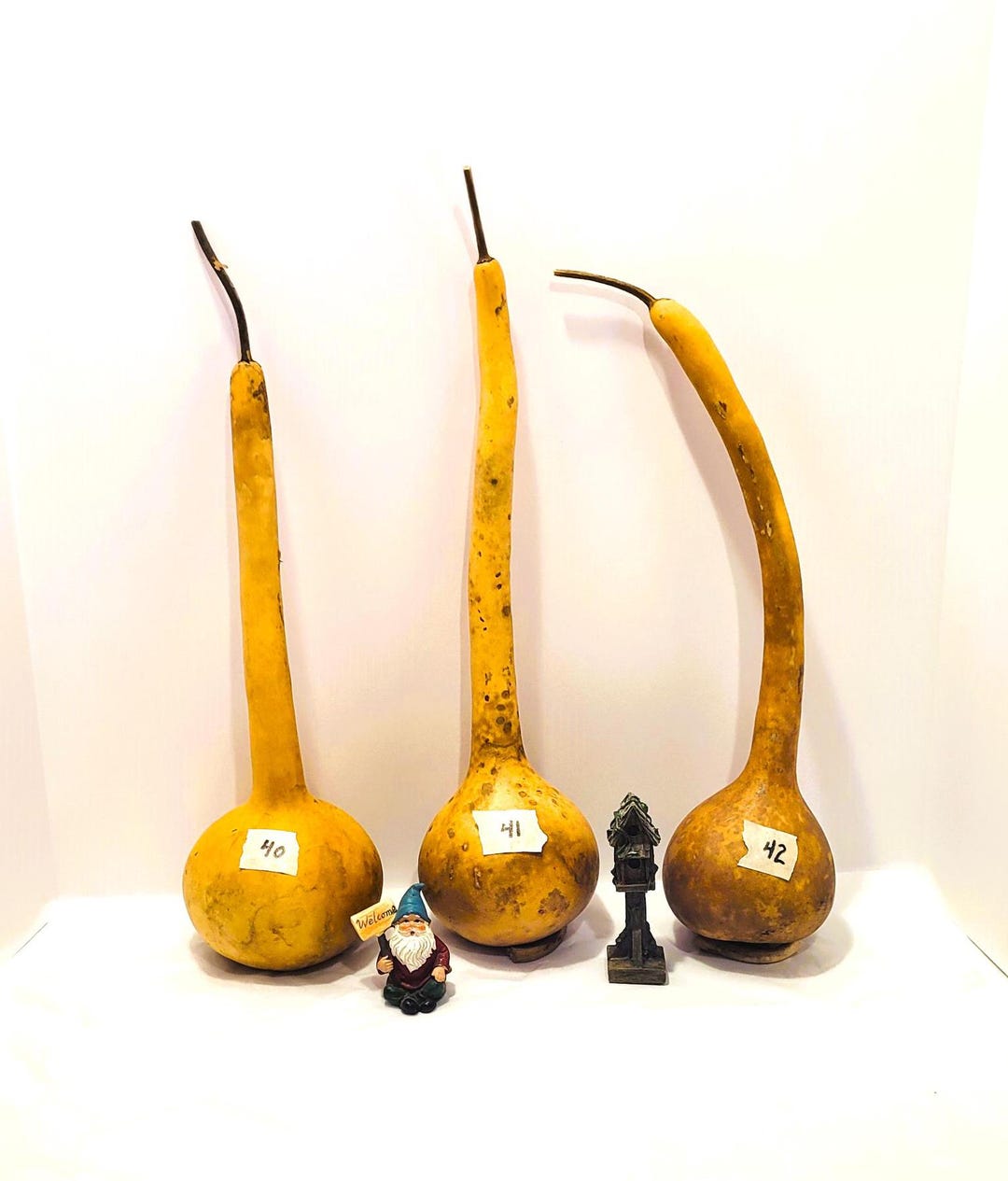 Three (3) Tall Dipper Gourds, Natural Gourds - Etsy