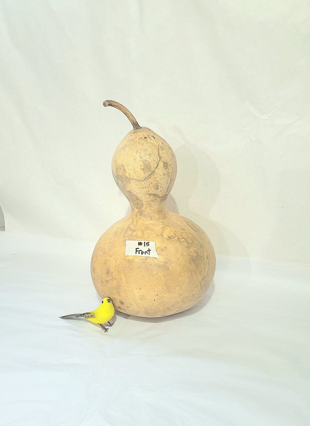 Large Bottle Gourd, Natural Bottle Gourd, Calabash Gourd - Etsy