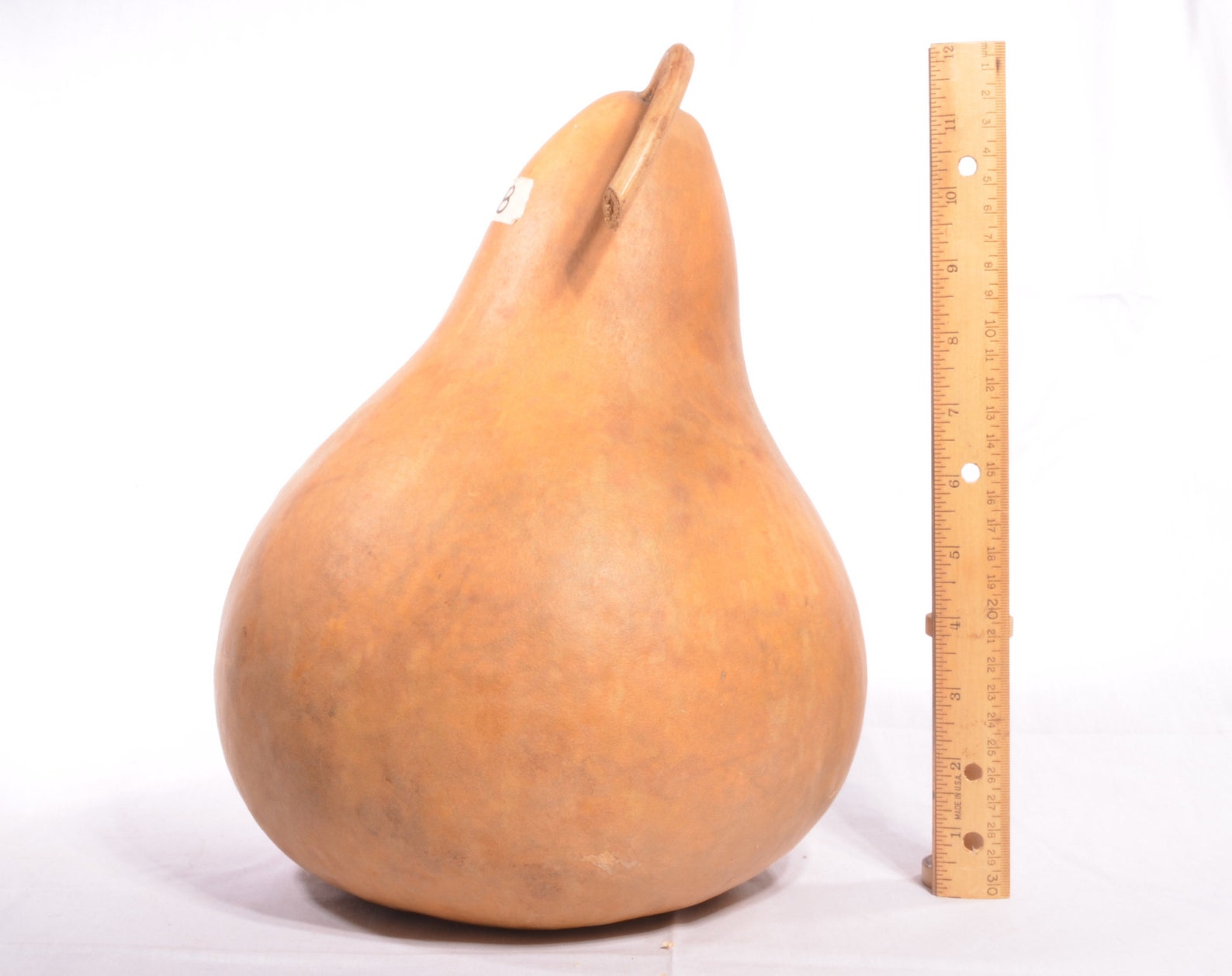 Large Martin House Gourd, Natural Pear Shaped Gourd - Etsy