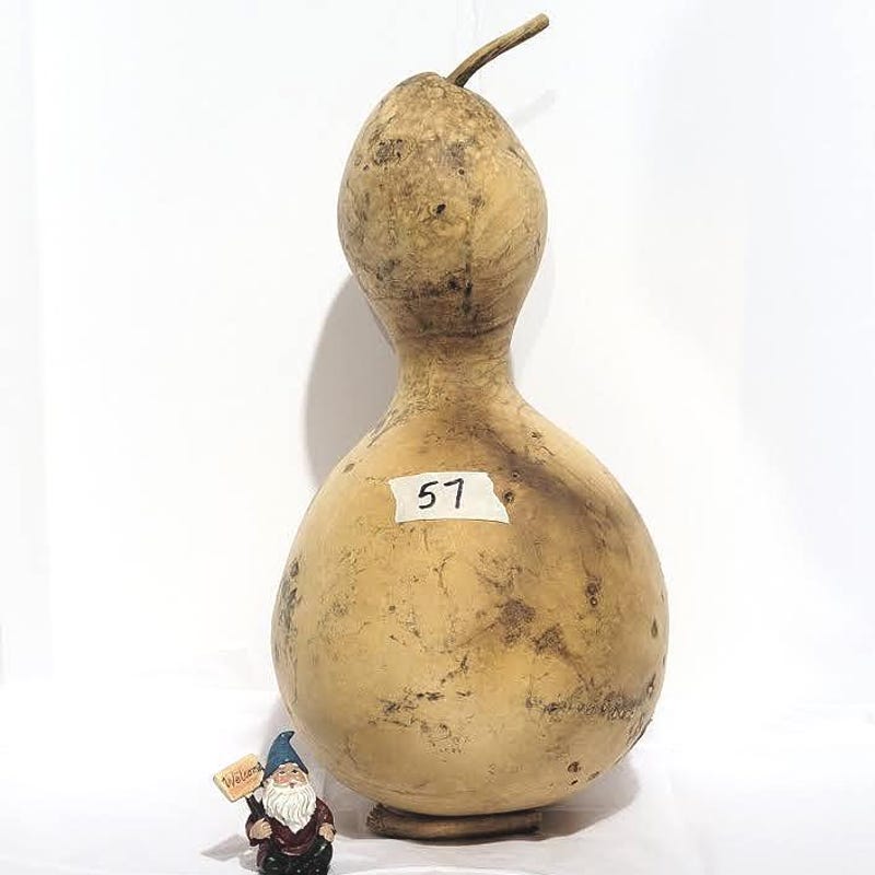 Calabash Gourd - Etsy