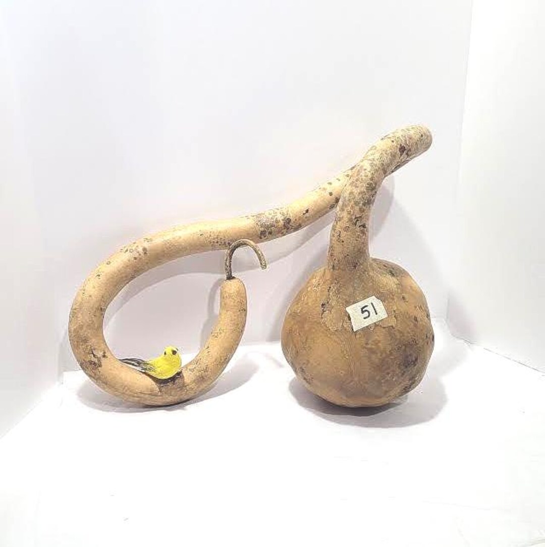 Large Long Handled Dipper, Natural Gourd Birdhouse - Etsy