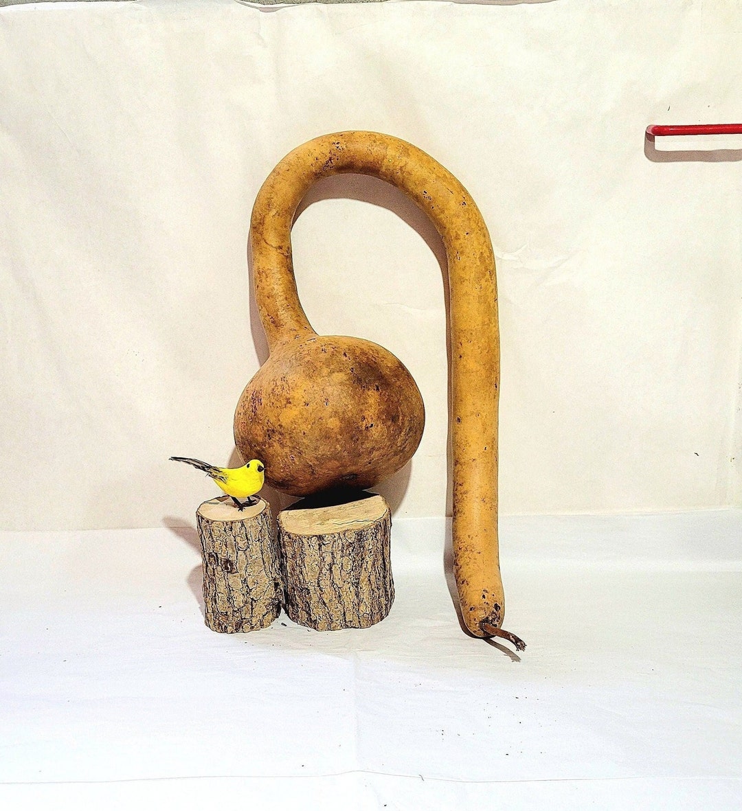 Large Long Handled Dipper, Natural Gourd - Etsy