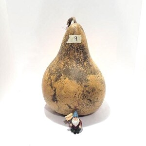 Large Martin House Gourd Second, Discounted Natural Pear Shaped Gourd ...
