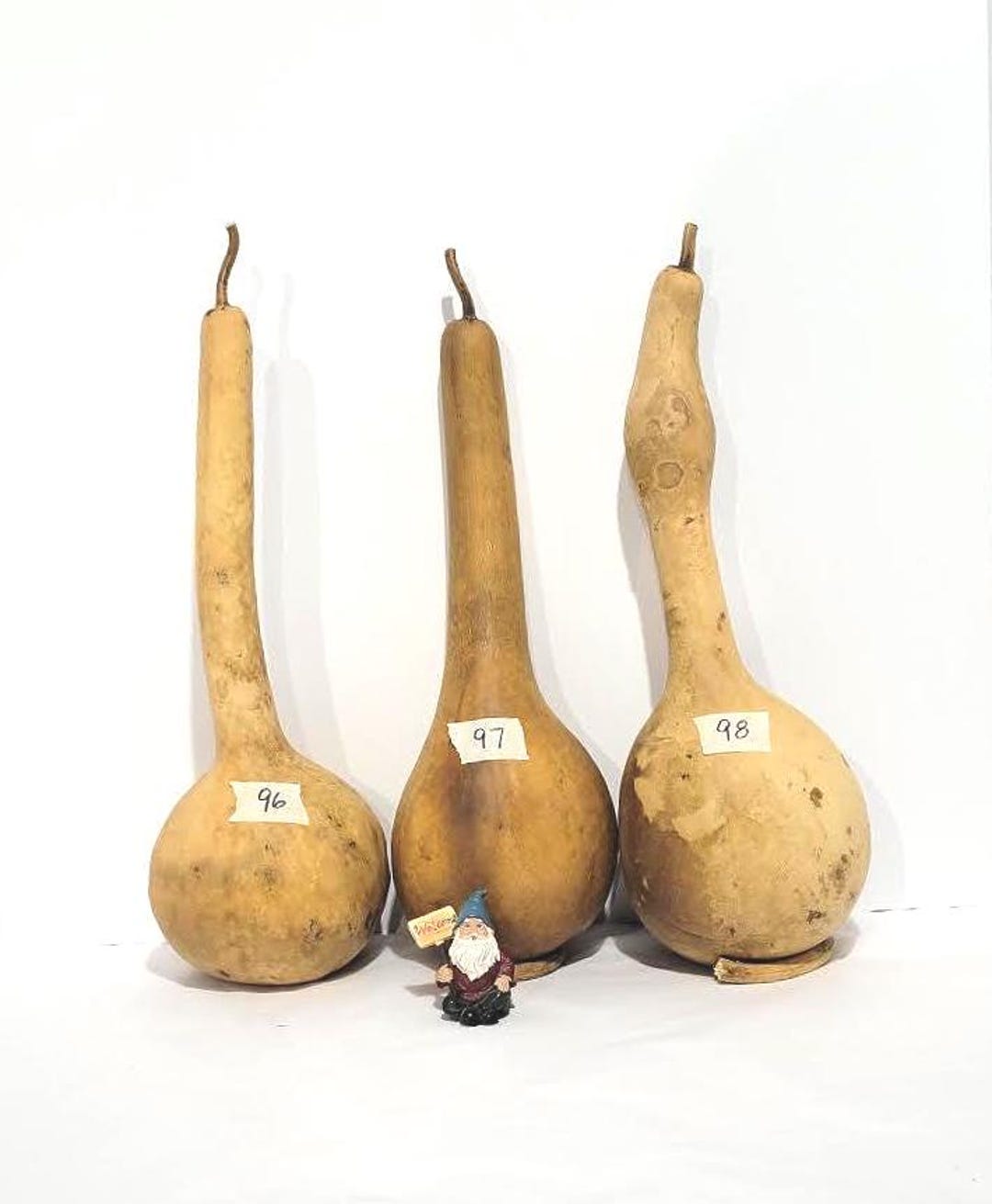 Three (3) Tall Dipper Gourds, Natural Gourds - Etsy