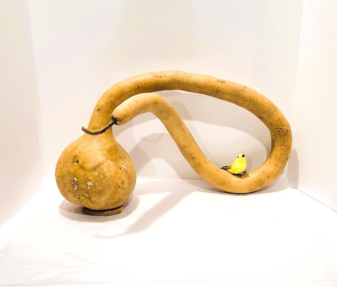Large Long Handled Dipper, Natural Gourd Birdhouse - Etsy