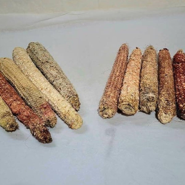 Dried Corn Cobs - Etsy