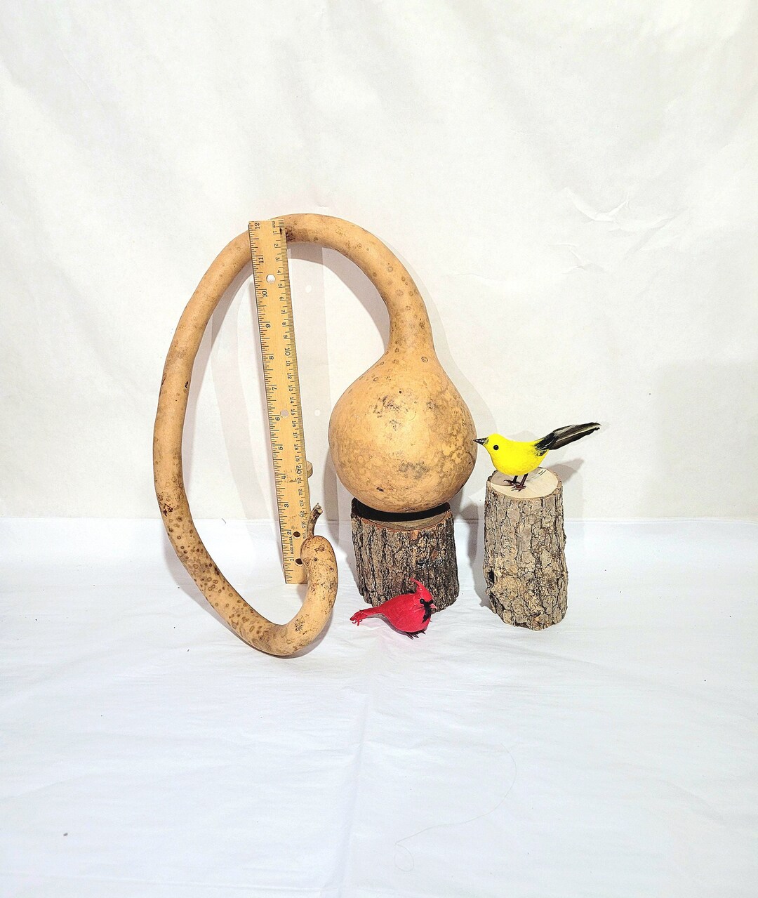 Large Long Handled Dipper, Natural Gourd - Etsy