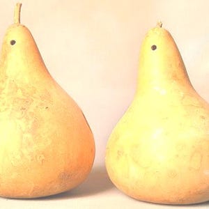 Natural Gourd Birdhouses (set of 2): Undecorated Martin House - Etsy