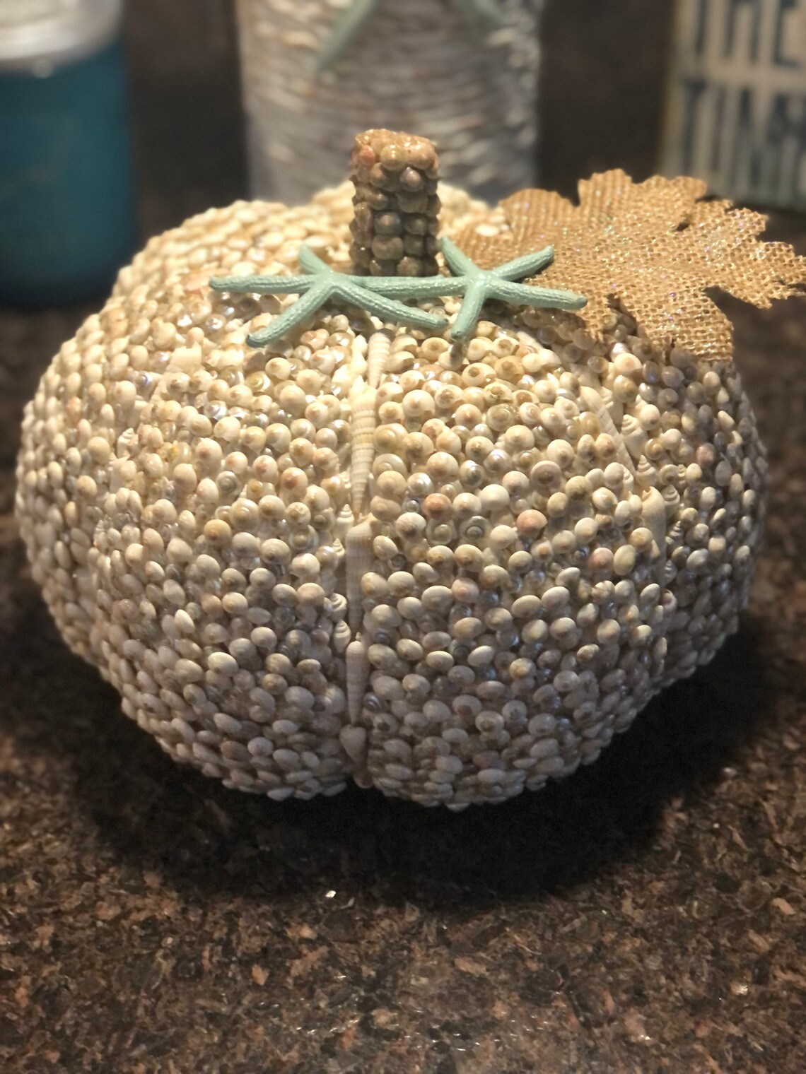 Large Seashell Pumpkin - Etsy