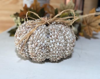 Autumn Fall White and Blue Seashell Pumpkin Decor With Shell Stem - Etsy