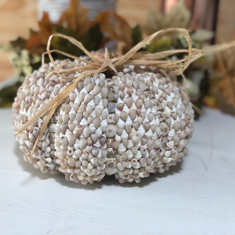 Coastal Pumpkins - Etsy