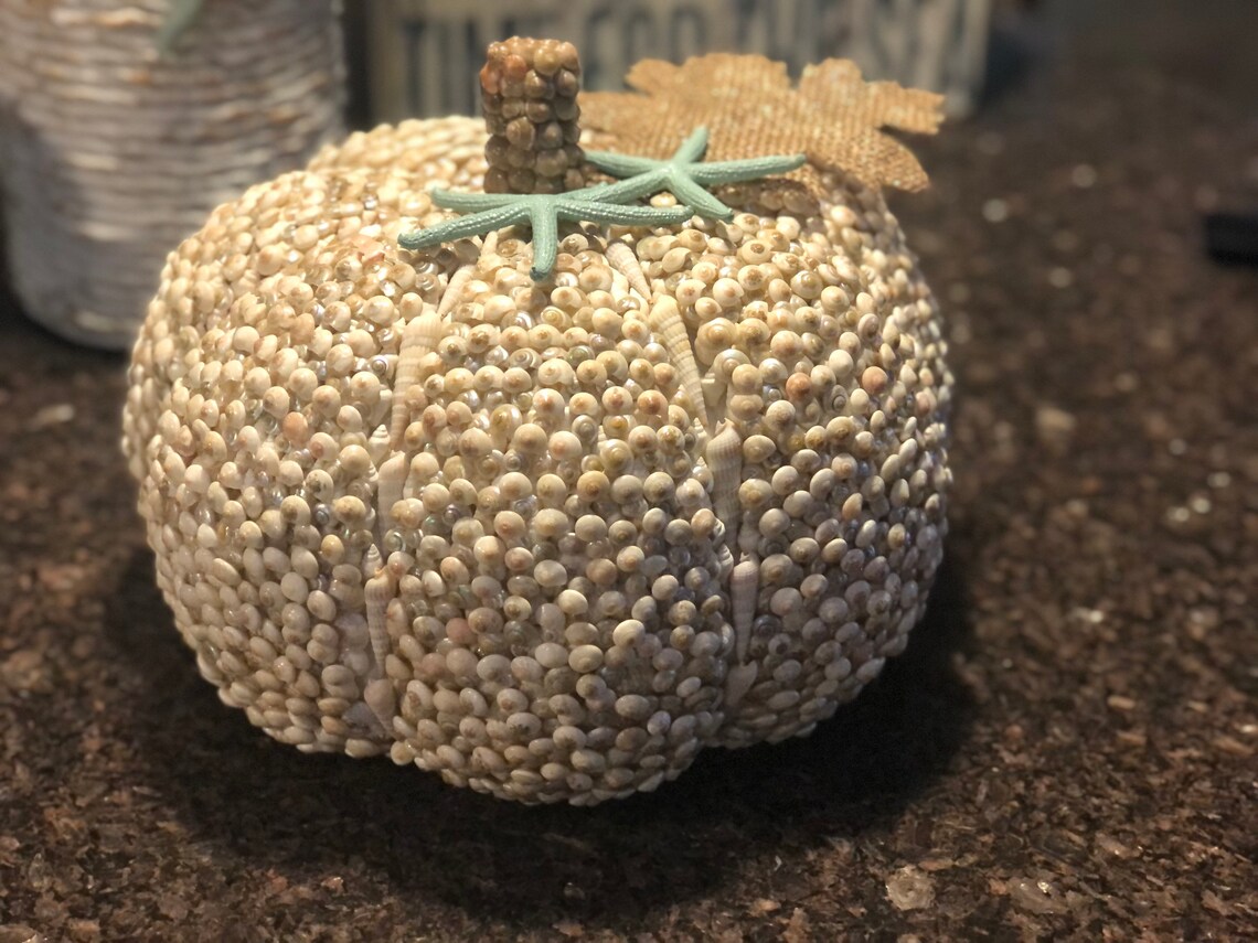 Large Seashell Pumpkin - Etsy