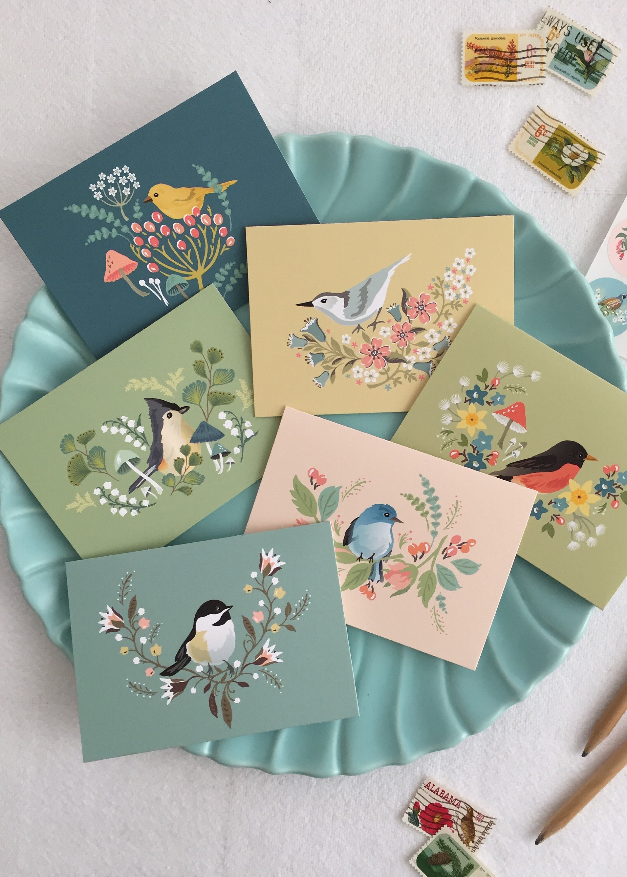 12 Songbird Cards: Chickadee, Gnatcatcher, Robin, Nuthatch, Titmouse ...