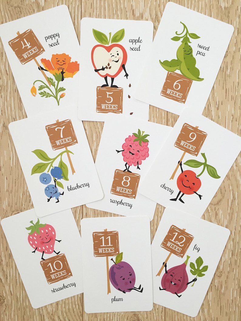 PDF to Print Yourself—grow Baby Grow Week-by-week Pregnancy Card Set ...