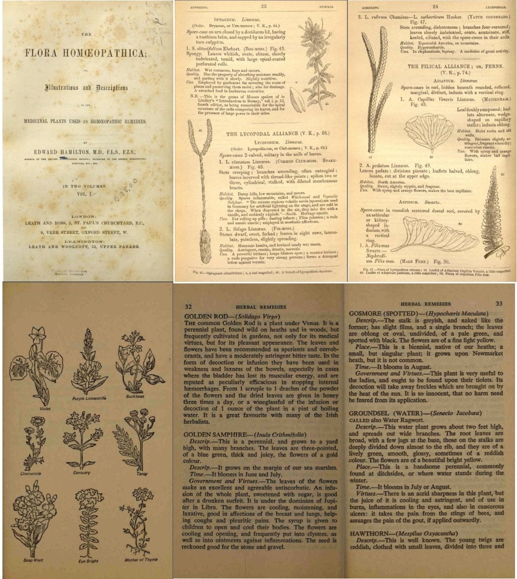 89 RARE Vintage Herbal Medicine Remedies Homeopathic Ebooks - Etsy