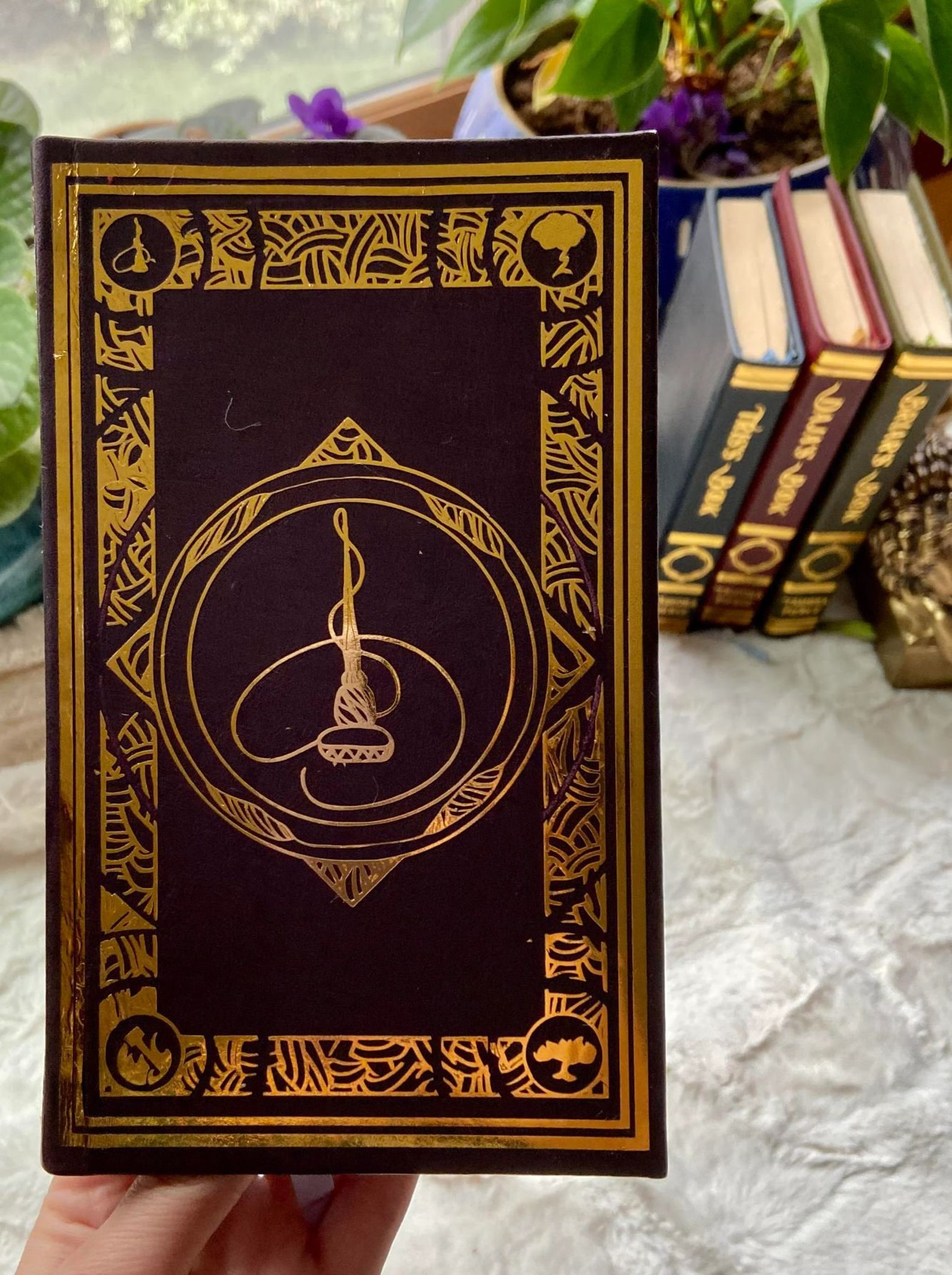 The Circle of Magic Series by Tamora Pierce Leatherbound - Etsy