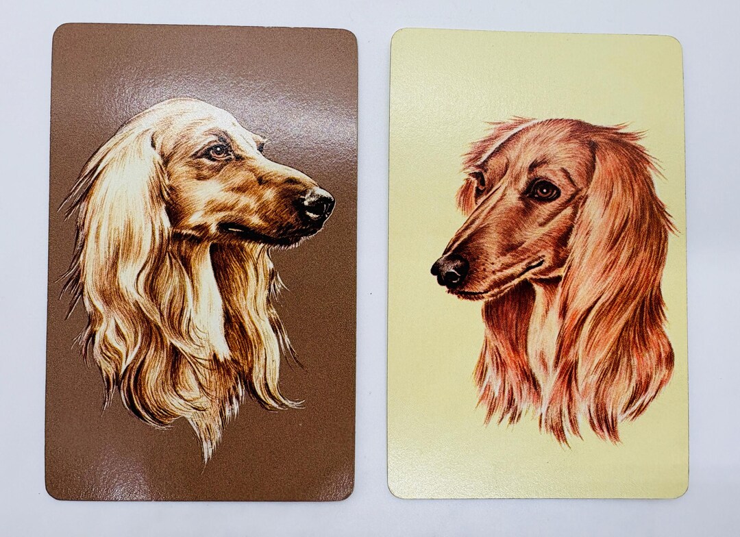 SALUKI & AFGHAN Houndplaying Cards Double Deck by Cardwell Westinghouse Co. - Etsy