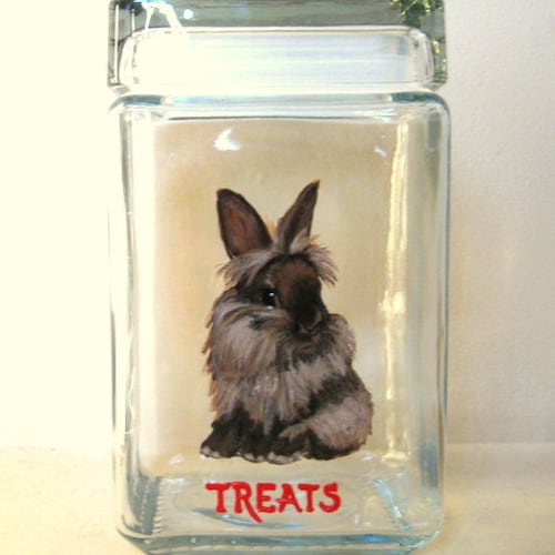 Bunny Rabbit Treat Jar Pet Portrait Custom Canister Hand - Etsy
