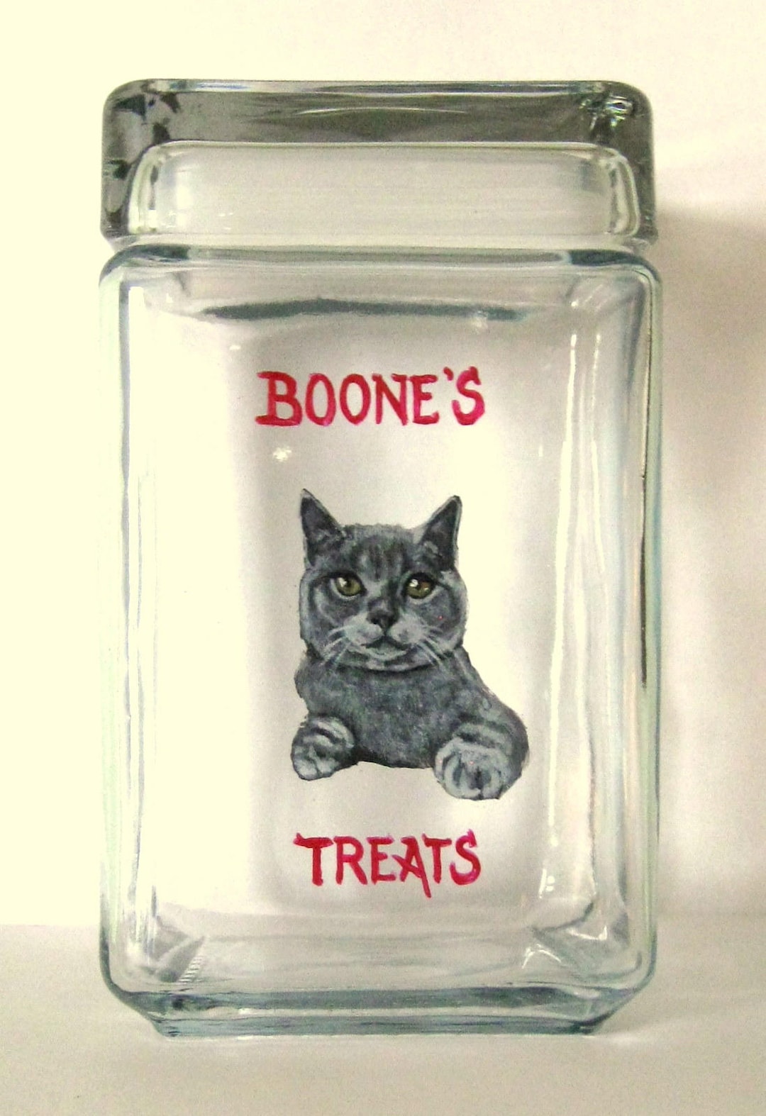Custom Cat Painting, Treat Jar, Personalized Pet, Custom Canister, Gray ...