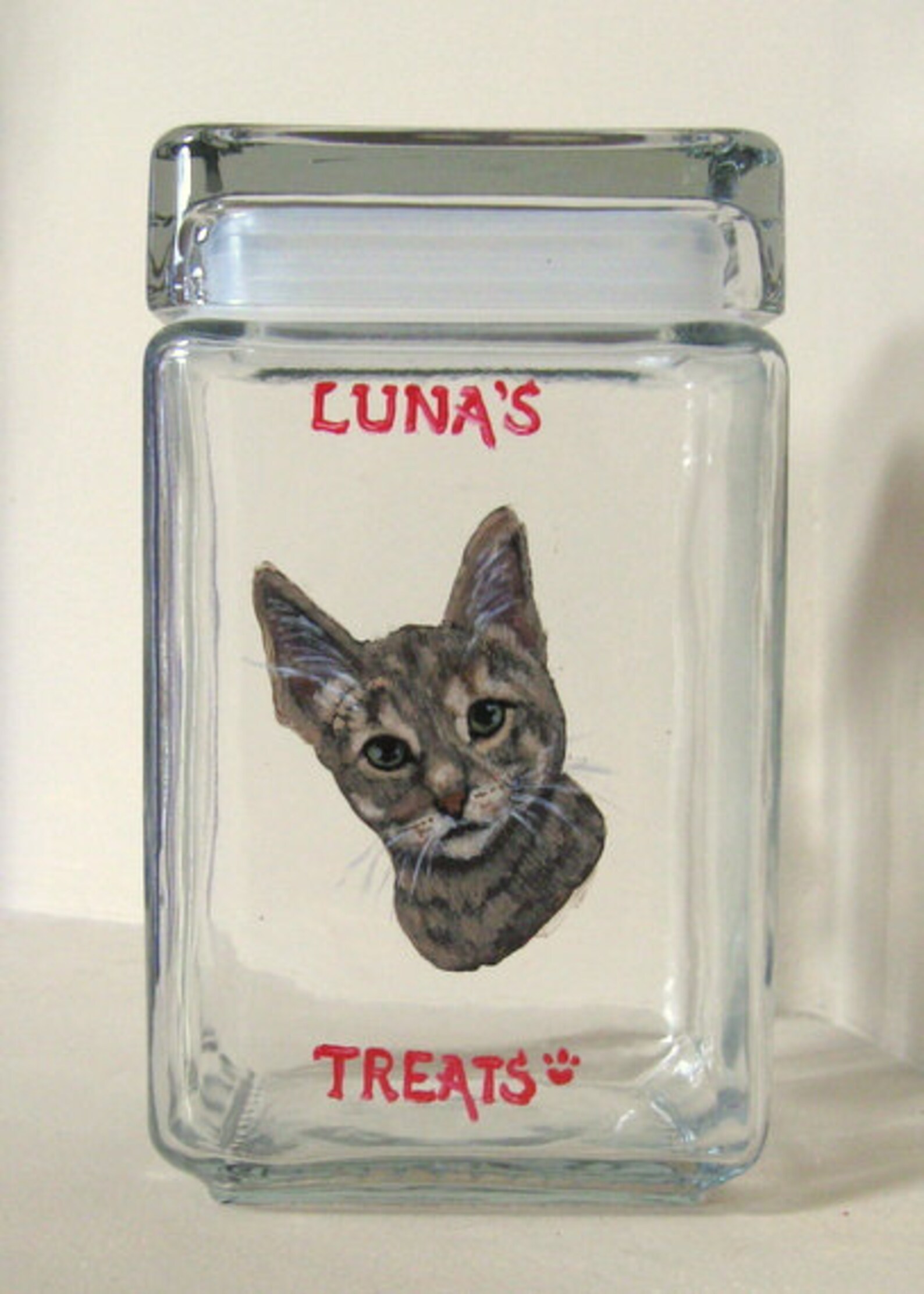 Kitten Custom Canister Cat Treat Jar Pet Storage Kitchen | Etsy