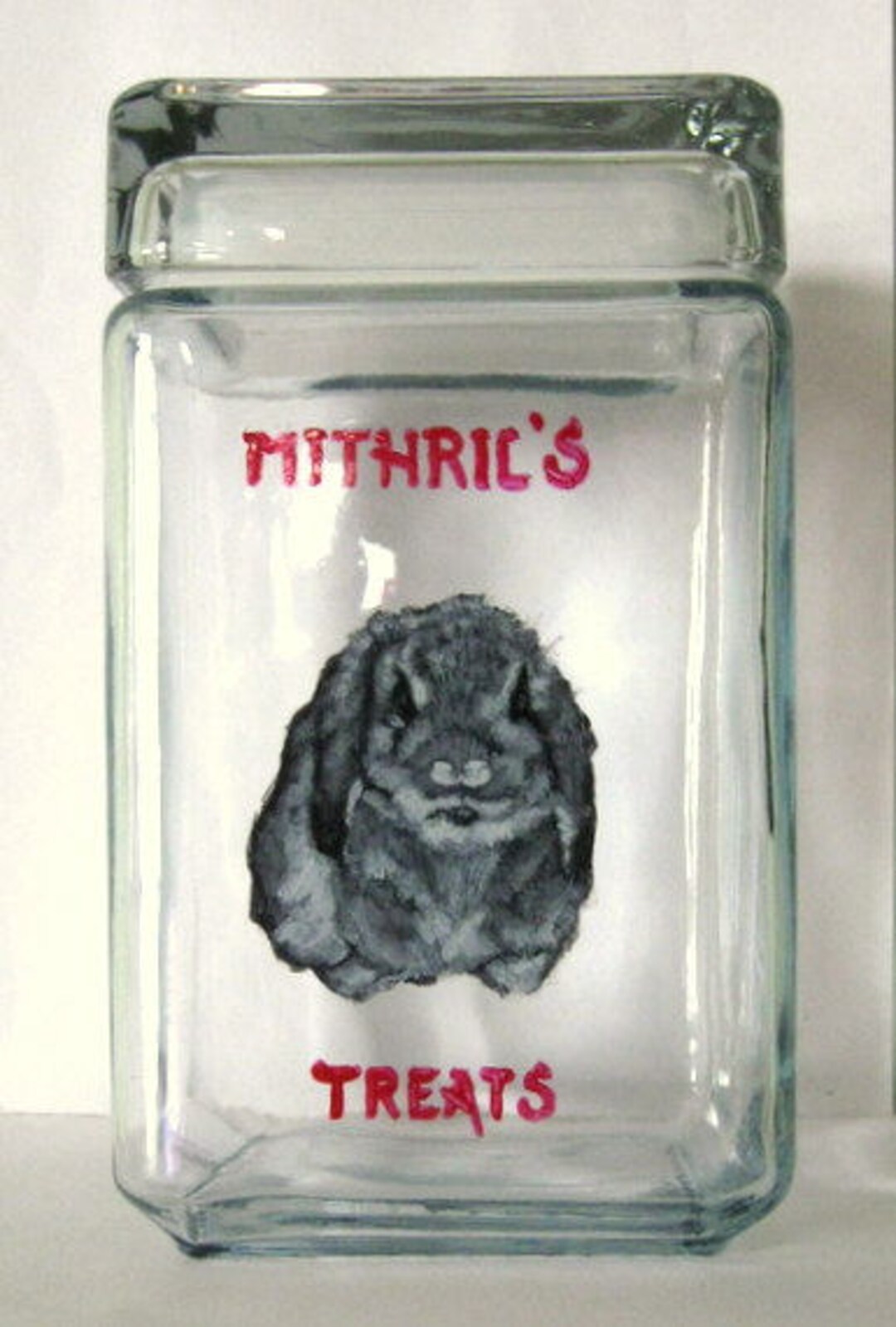 Rabbit Food Treat Jar, Pet Snack Holder, Bunny Painting, Custom ...