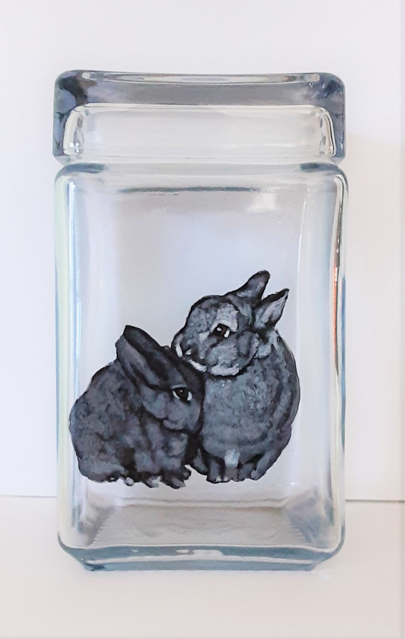 Rabbit Food Jar Bunny Treat Jar Pet Storage Container | Etsy