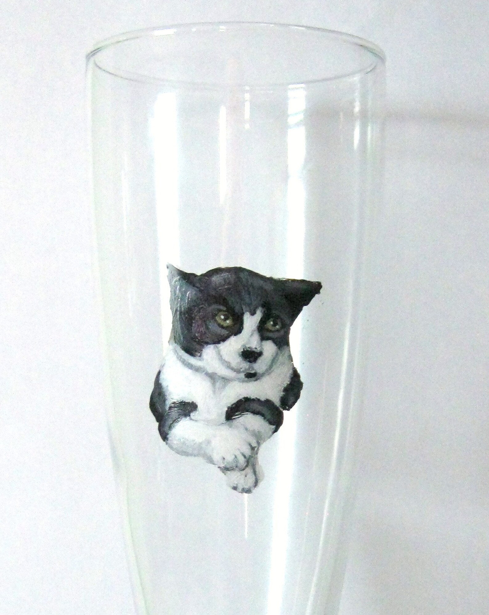 Cat Beer Glass, Personalized Pilsner, Custom Pet Portrait Painting, Bar ...
