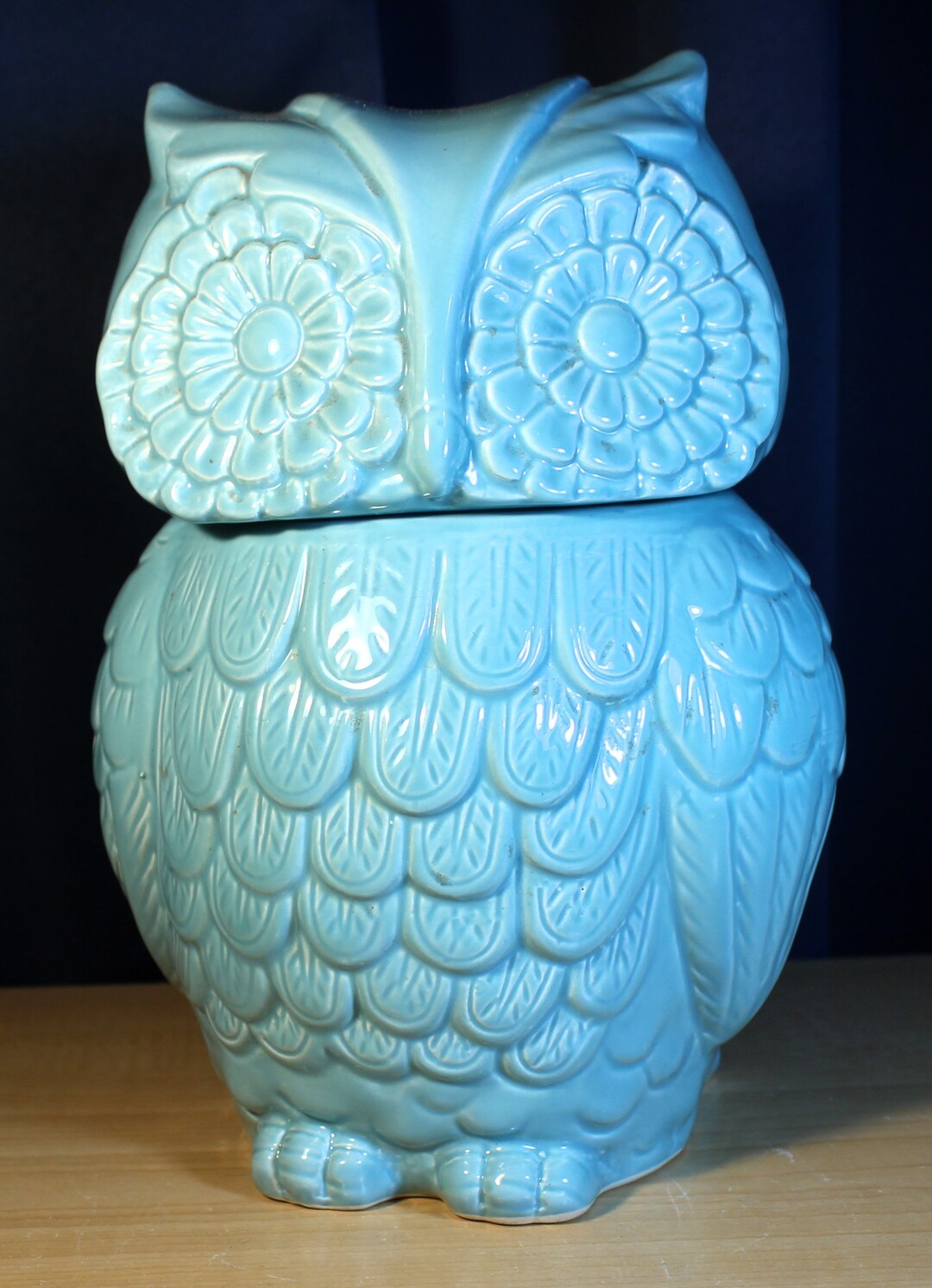 Light Blue Owl Cookie Jar Made by World Market - Etsy