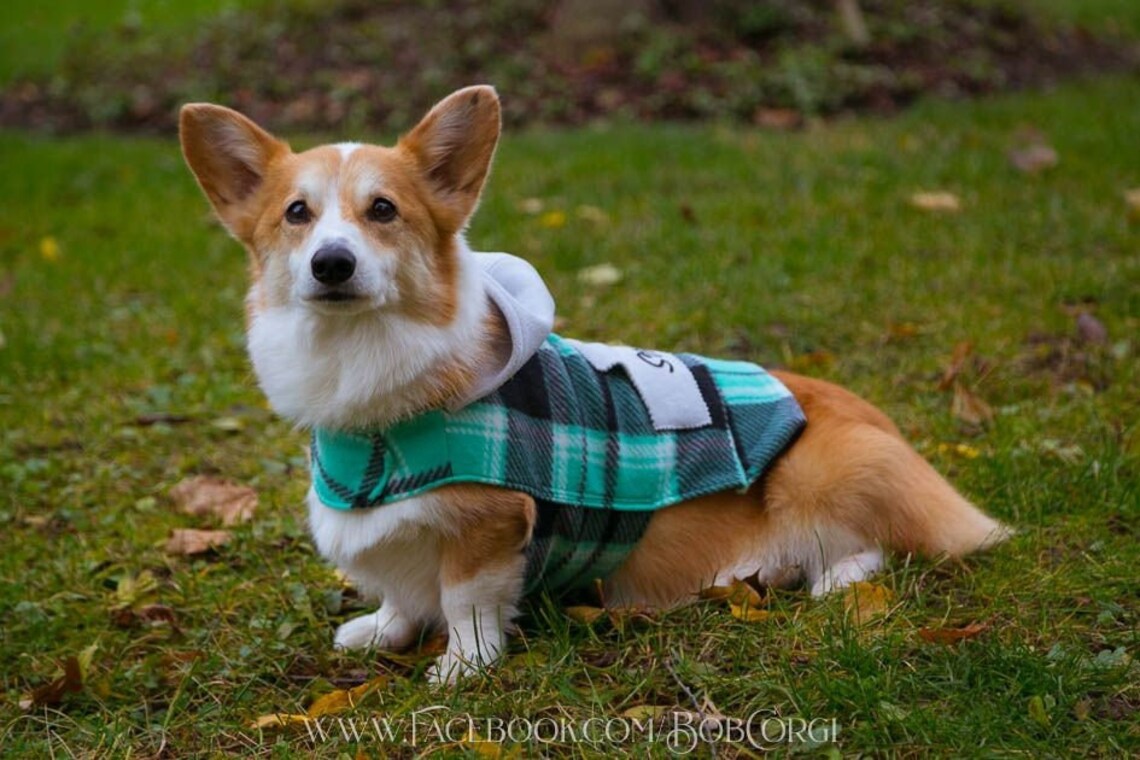 Custom Corgi Hoodies - Etsy