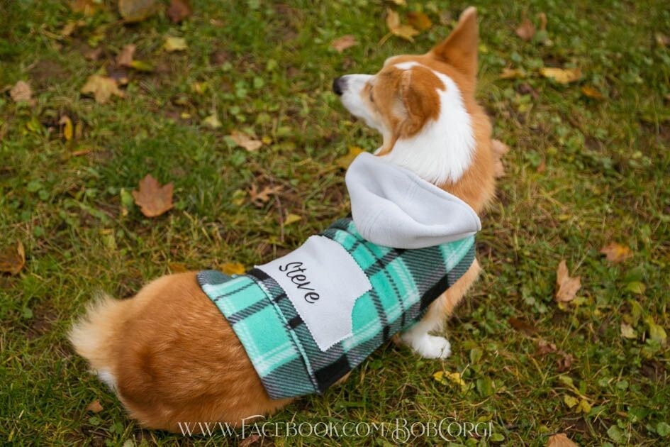 Custom Corgi Hoodies - Etsy