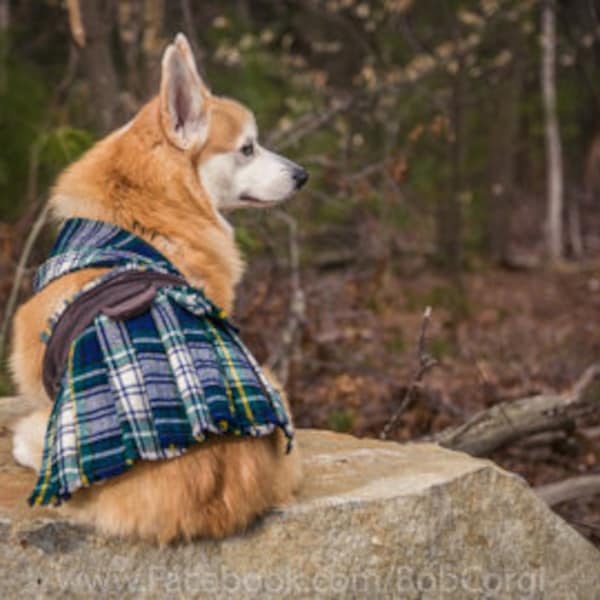 Dog Kilt - Etsy