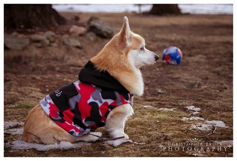 Custom Corgi Hoodies - Etsy