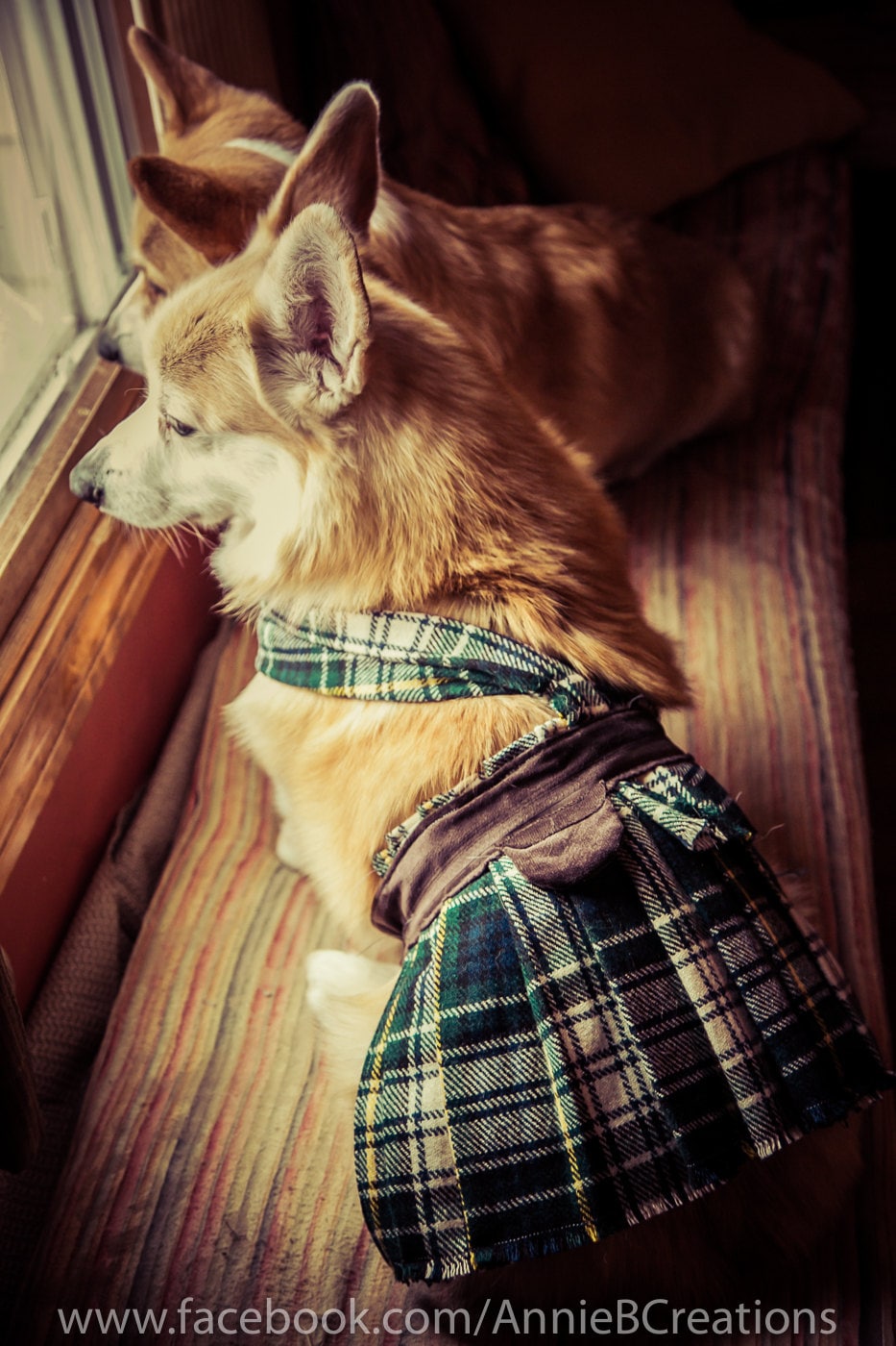 Corgi Kilt - Etsy
