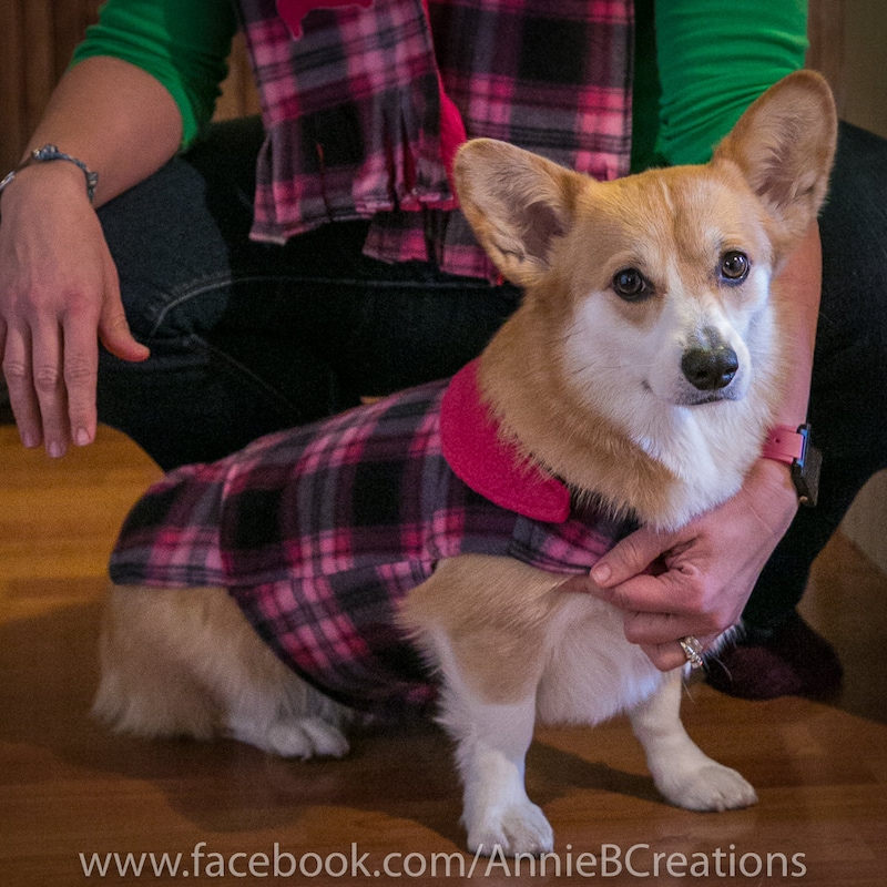 Corgi Clothes - Etsy