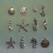 Cute 12 Piece Tropical/beach Charm Collection - Etsy