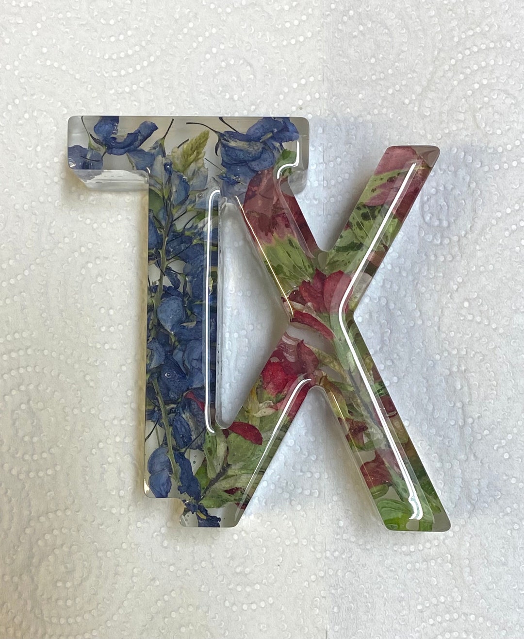 Texas Preserved Bluebonnet and Indian Paintbrush Resin TX Letters - Etsy