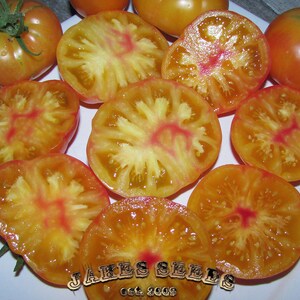 Oaxacan Jewel Tomato Heirloom Tomato Seeds - Etsy